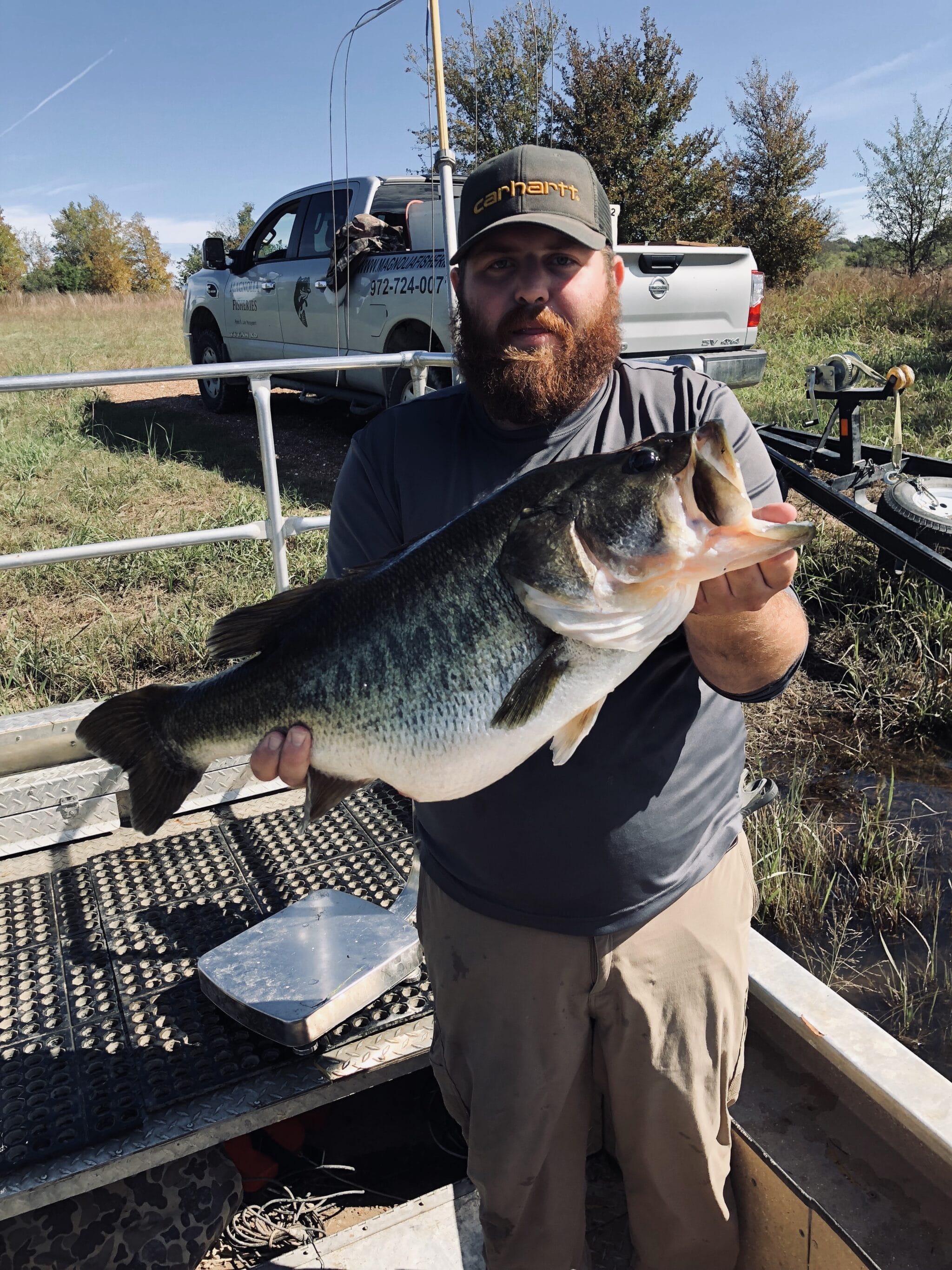Growing Trophy Bass vs. Quality Bass - Magnolia Fisheries