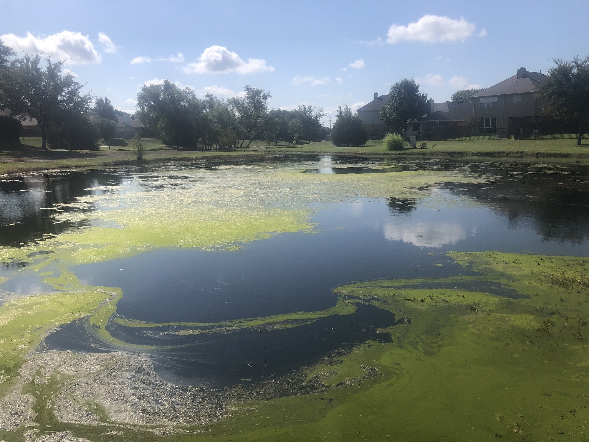 The Phosphorus Solution for Nutrient Pollution - Magnolia Fisheries