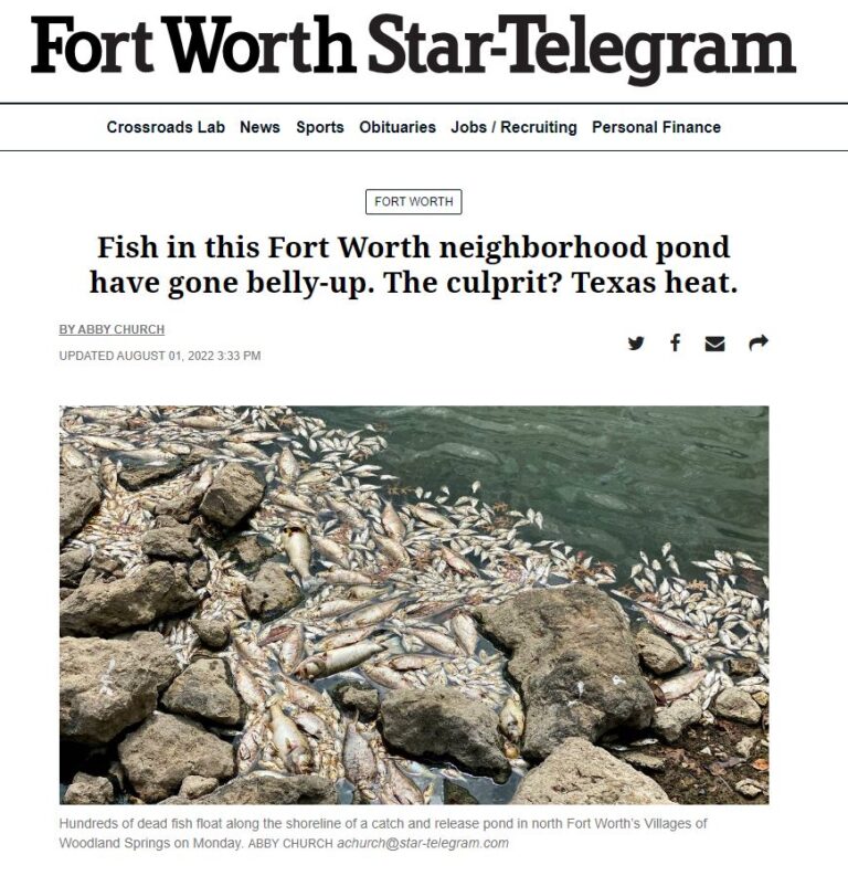 Fish Kills in North Texas Ponds...When, Why and What to Do. - Magnolia ...